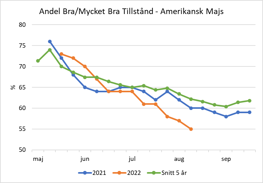 Global Marknadsrapport v.34 Verktyget för jordens entreprenörer
